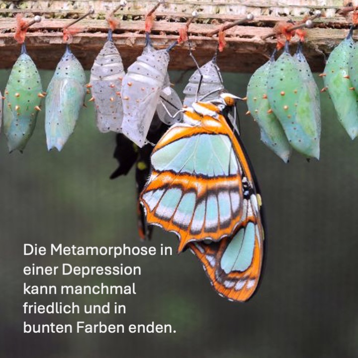 Metamorphose – Markus Moser'Blog